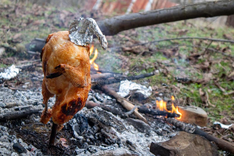 Fried chicken stock photo. Image of poultry, roasted - 210987932