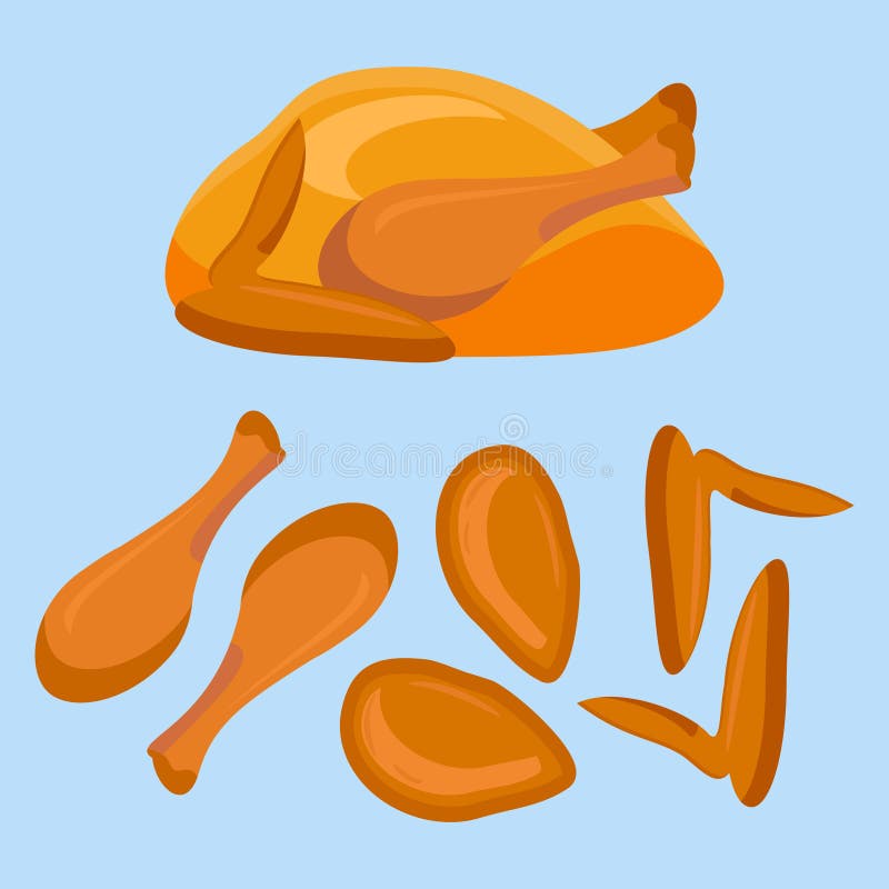 Fried Chicken or Turkey and Its Parts Stock Vector - Illustration of ...