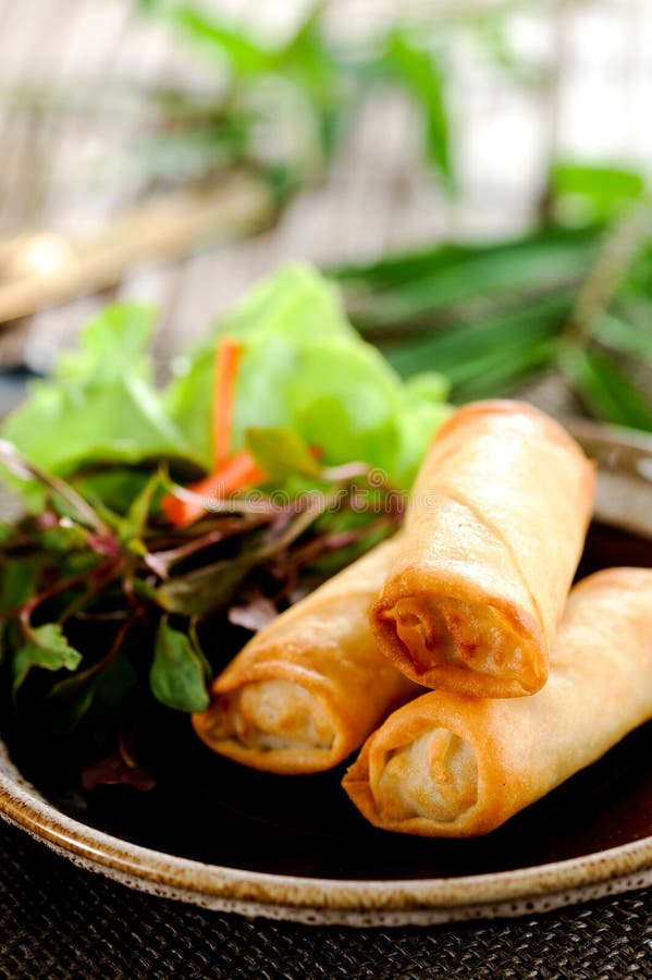 Spring rolls stock image. Image of vietnamese, appetizer - 114901865