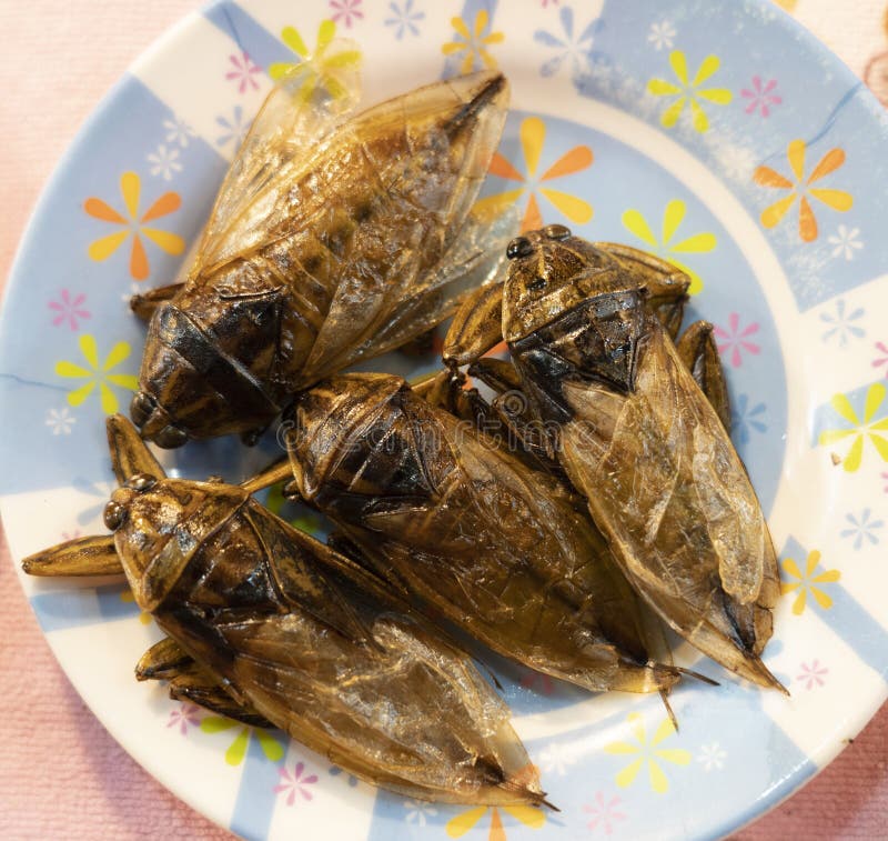 Fried Cockroach Recipe