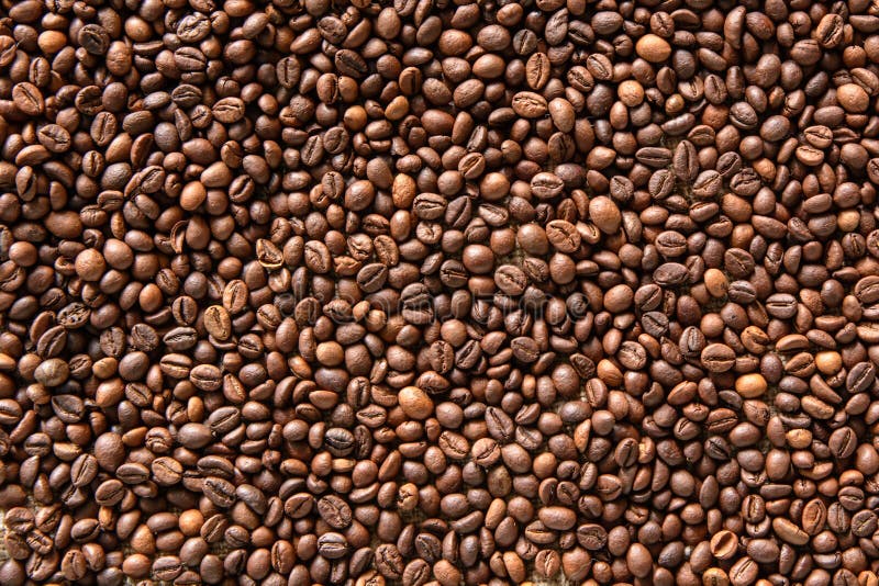 Arabika Coffee Beans Background Stock Photo - Image of freshness, cafe ...