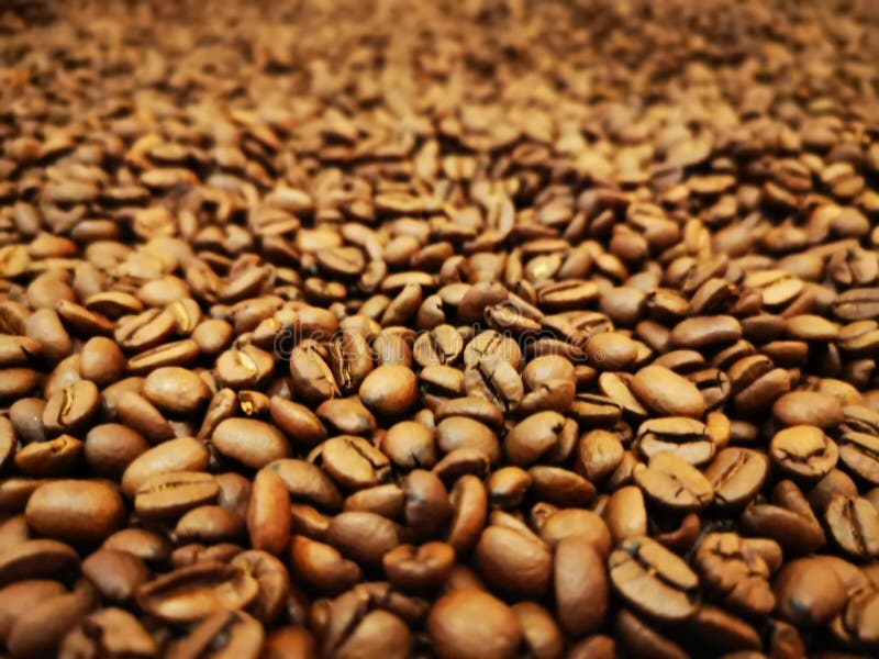 Fried Coffee Beans - Inside Details Stock Photo - Image of golden, bean ...