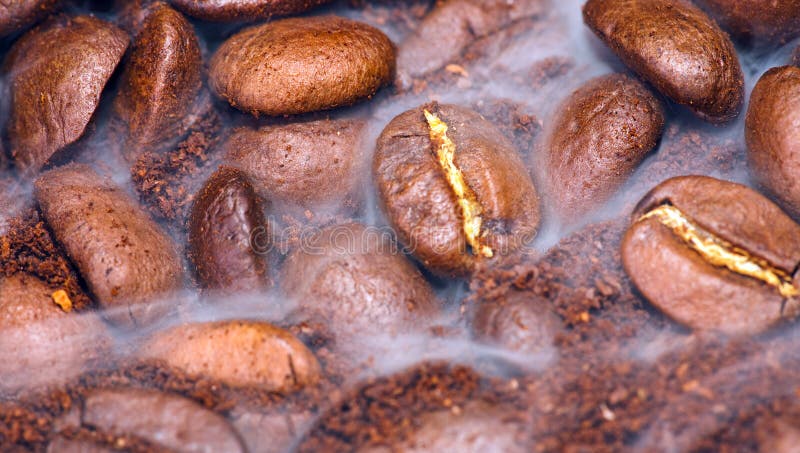 Fried Coffee Beans with Smoke Stock Photo - Image of ingredient, latte ...