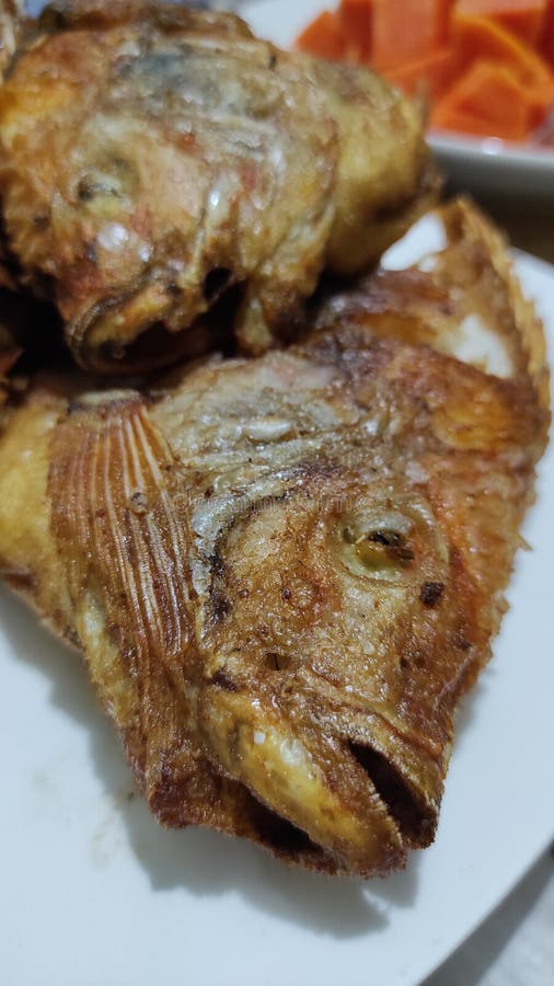 Fried cooked fish head stock photo. Image of produce - 217713026