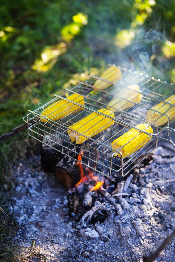 Fried Corncobs of Yellow Juicy Corn Cooked on a Wire Rack. Weekend ...