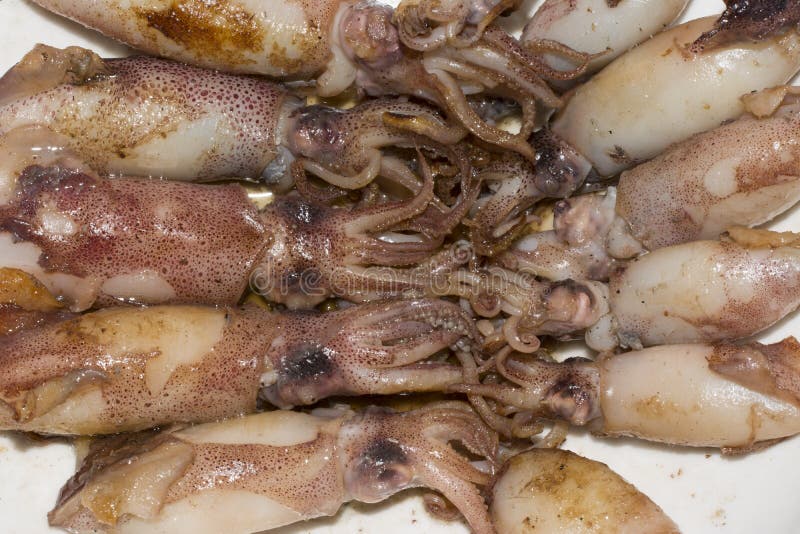 Fried squid,Chinese food stock image. Image of good, seashell - 60479523