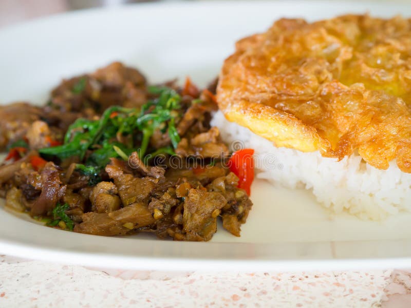 Fried Duck a Plate with Rice . Stock Image - Image of ground, gourmet ...