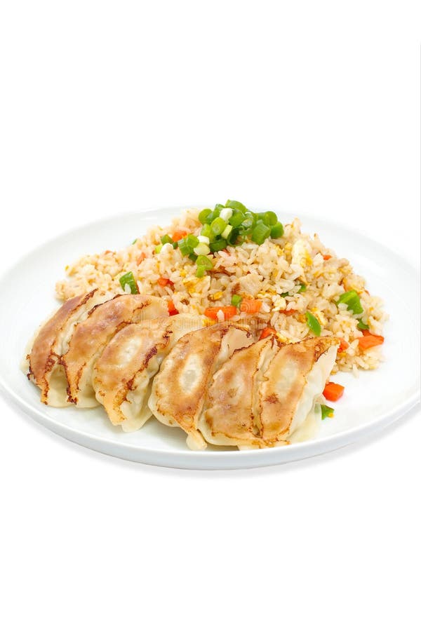 Fried Dumpling and Fried Rice Set Stock Image - Image of dinner, fried ...