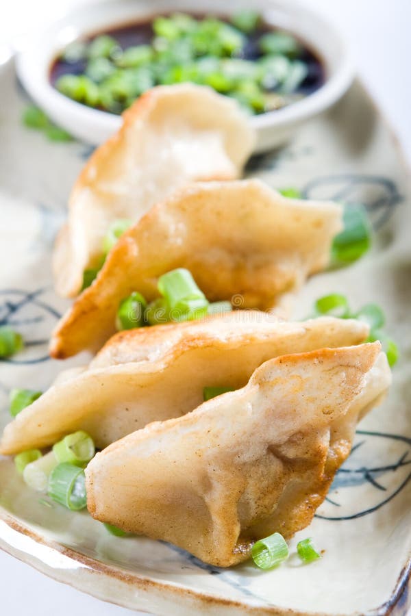 Fried dumplings stock photo. Image of dumpling, cook, soya - 8591764