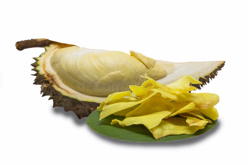 Fried Durian stock image. Image of snack, delicious, kitchen - 71366771