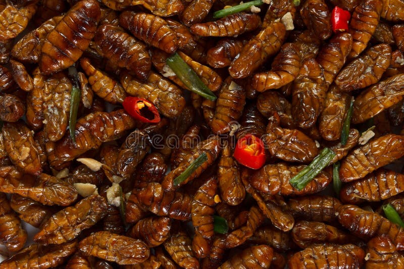 Fried Edible Insects Background Stock Photo - Image of green, asian ...