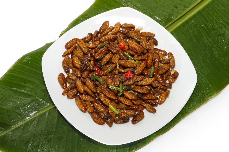 Fried Edible Insects on White Plate and Green Leaf Stock Photo - Image ...