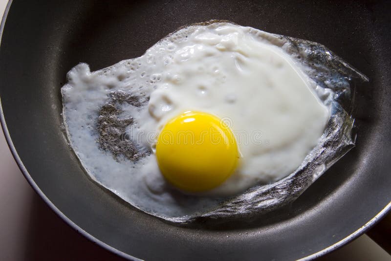 Fried egg stock photo. Image of breakfast, refreshment - 6975804