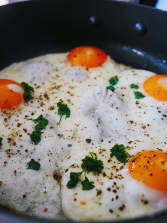 Fried Egg stock image. Image of isolated, diet, circle - 62729601