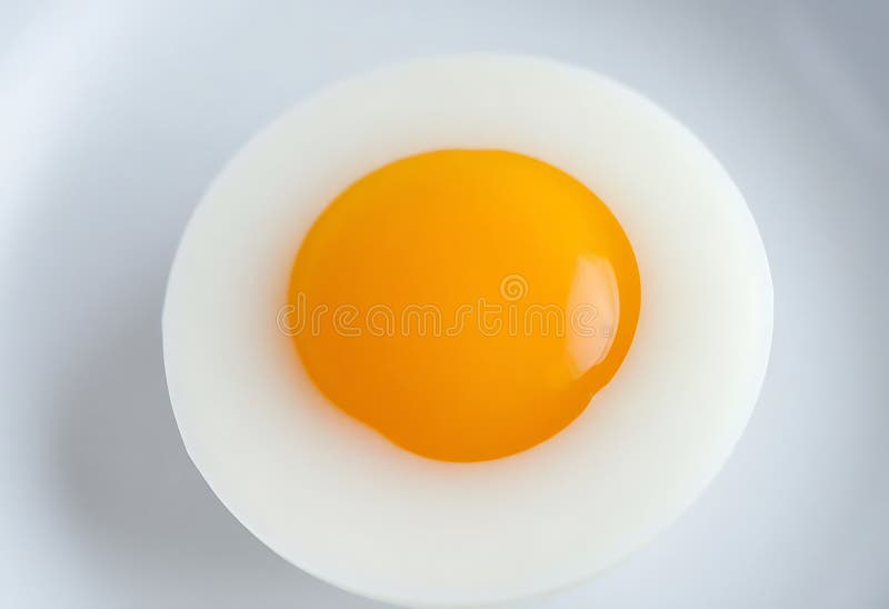 Fried Egg in a White Bowl on a White Surface Stock Illustration ...