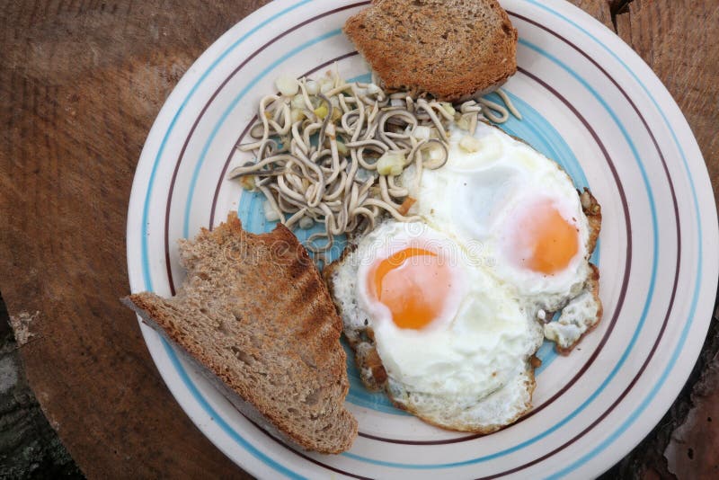 Elvers cooked stock image. Image of dinner, angaordm - 33538943