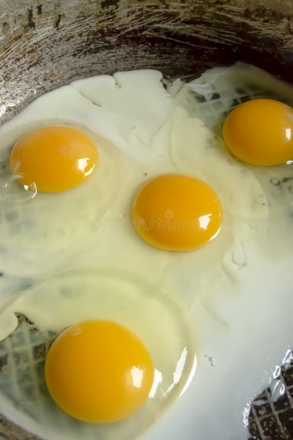 Fried Eggs in a Pan. a Few Fried Eggs. Fried Eggs in a Pan. Eggs with ...