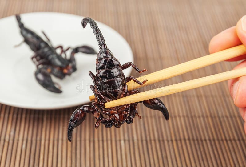 Barbecue scorpion stock image. Image of diet, fresh, flame - 13207973