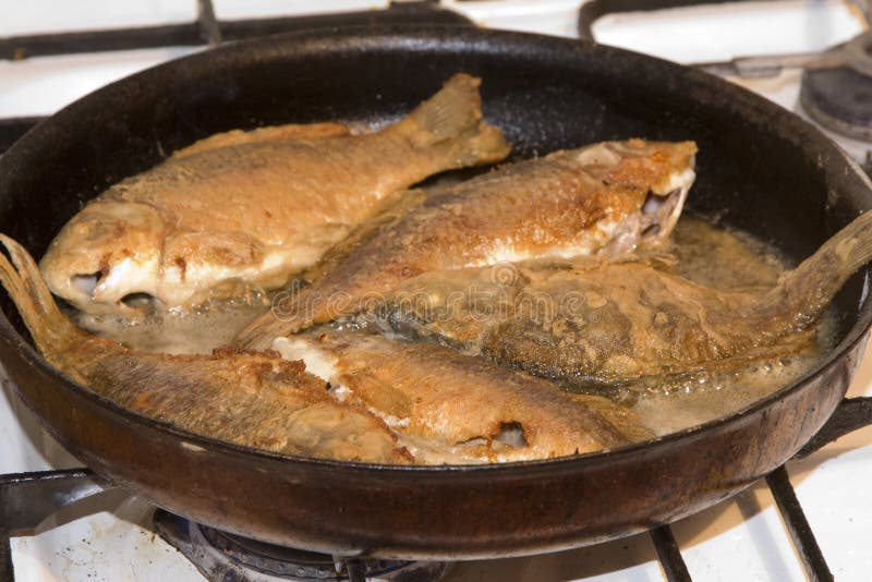 Fried fish stock image. Image of burn, diet, carp, nutrition - 11594807