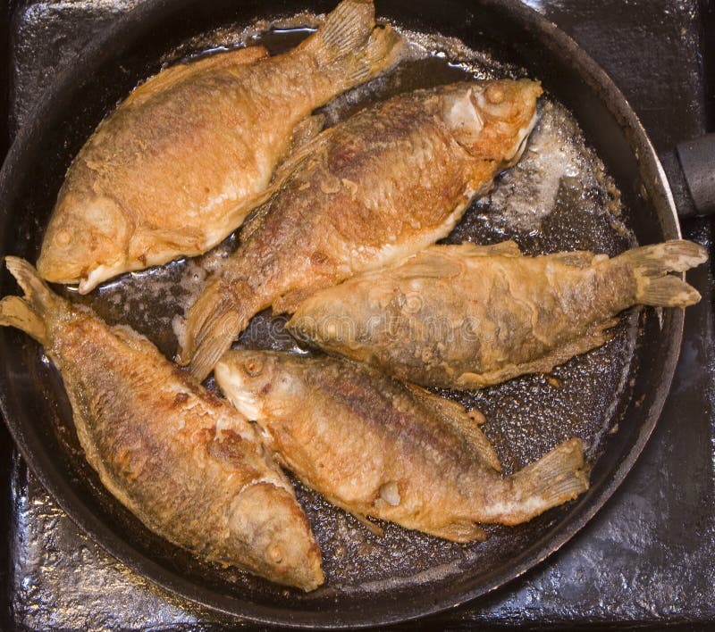 Fried tilapia fish stock image. Image of culinary, nutrition - 28492499