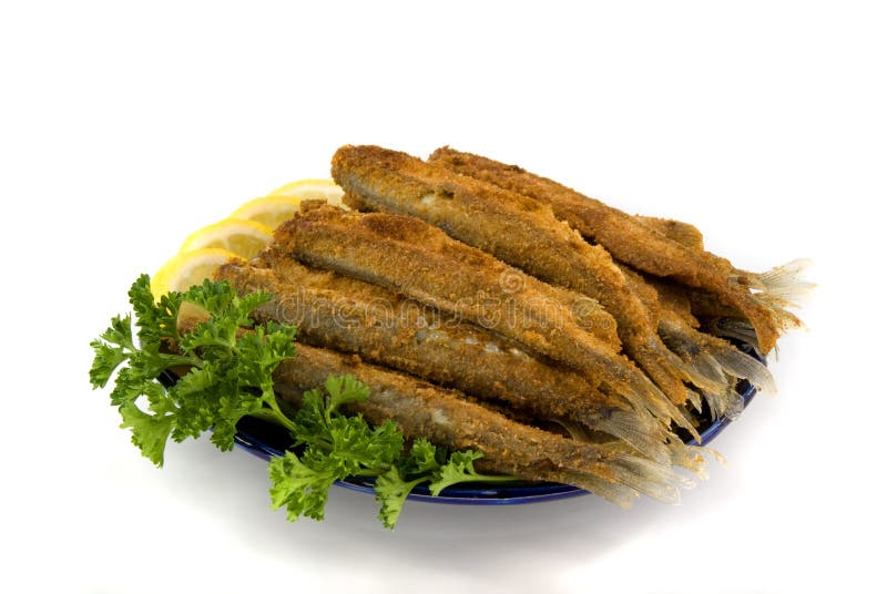 Fried fish stock photo. Image of plate, unhealthy, gourmet - 16108560