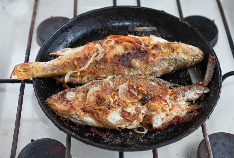 Fish cooking on open fire stock photo. Image of fried - 10192792