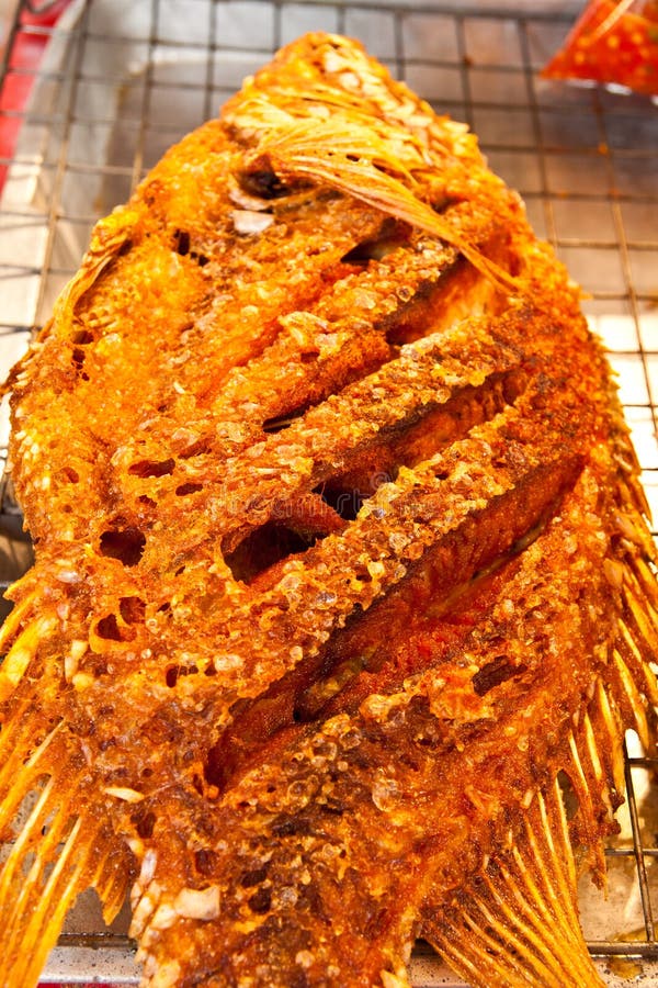 Fried fish stock photo. Image of fried, diet, natural - 23536830