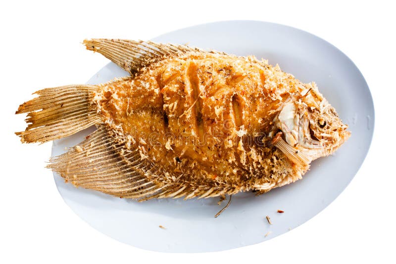 Fried fish stock image. Image of fresh, background, garnish - 26543879