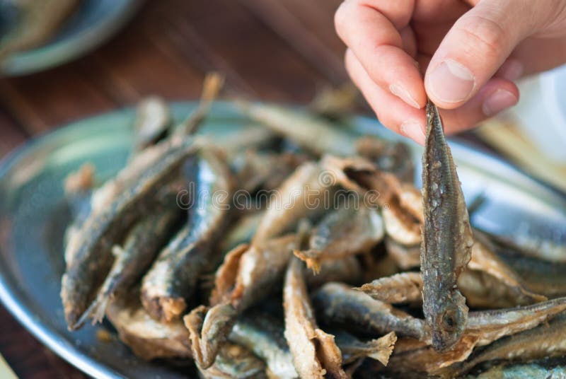 Fried fish stock photo. Image of fried, hand, mackerel - 28466010