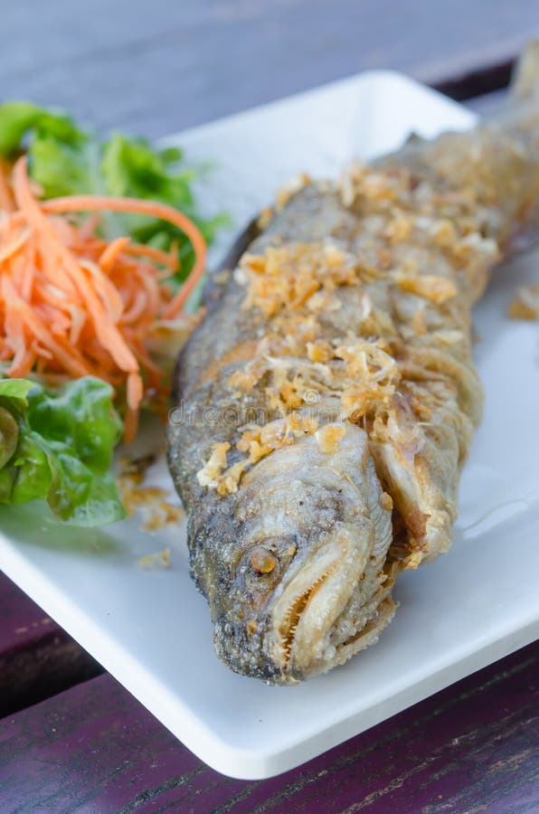 Fried fish stock image. Image of fish, organic, fried - 38095539