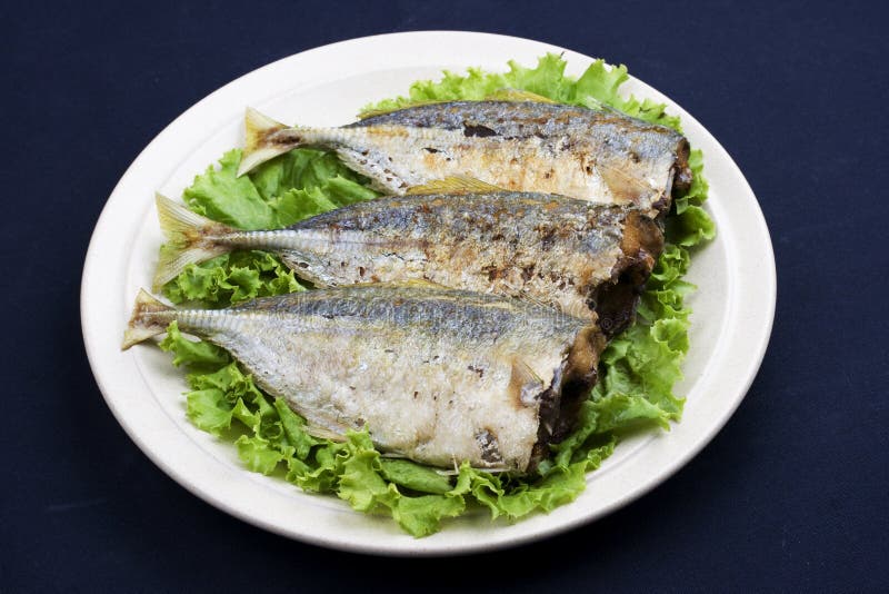Fried Fish stock photo. Image of fishes, fried, plate - 7592216