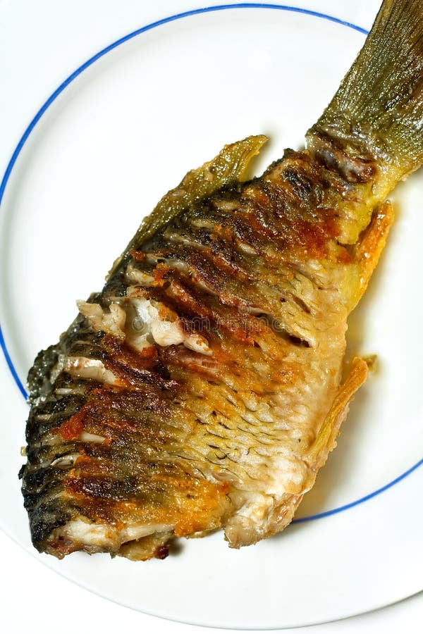 Fried fish stock image. Image of restaurant, broiled, head - 8345891