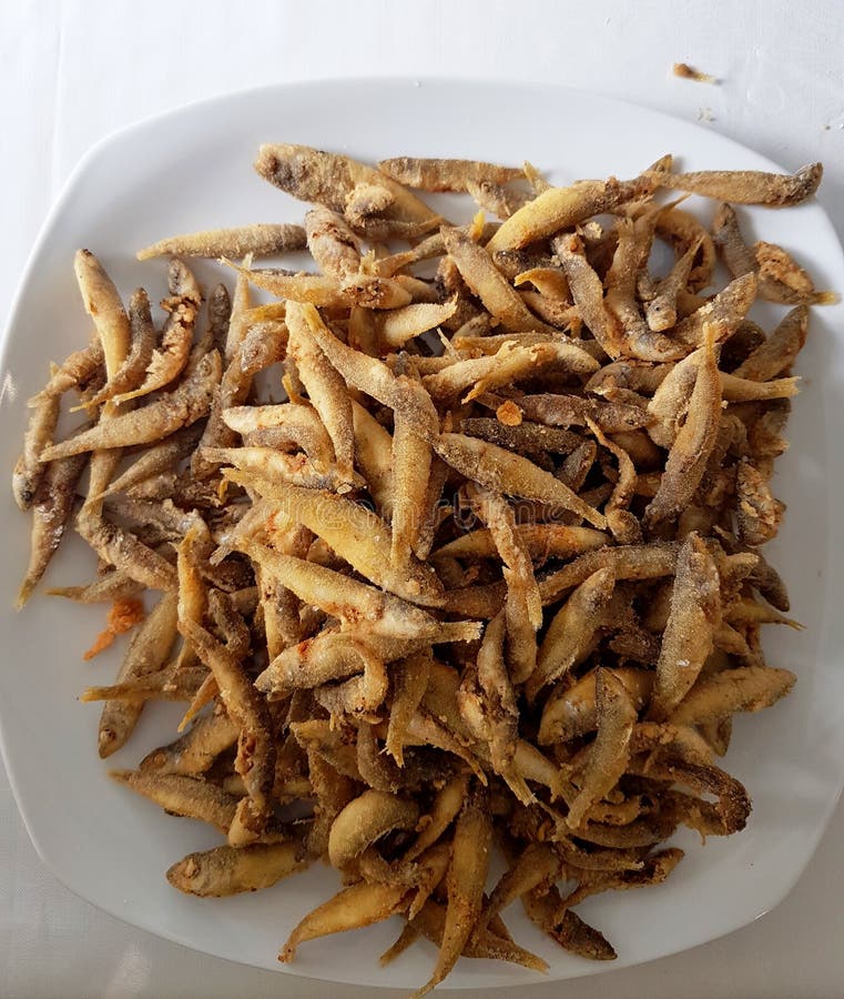 Fried fish already cooked stock image. Image of fried - 221574591