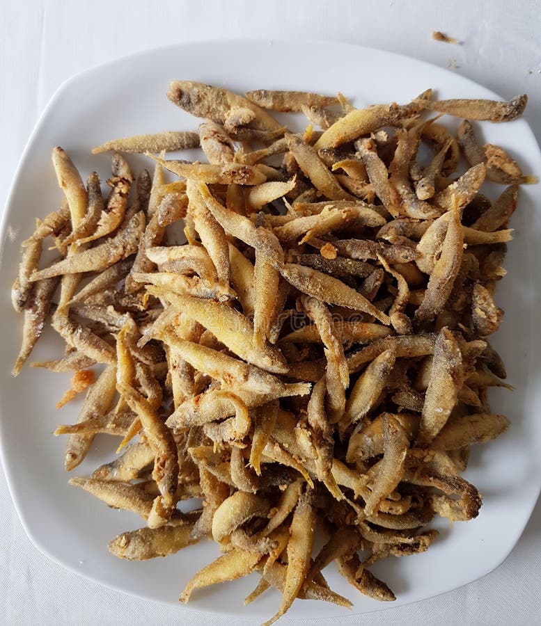 Fried fish already cooked stock photo. Image of fried - 221574600