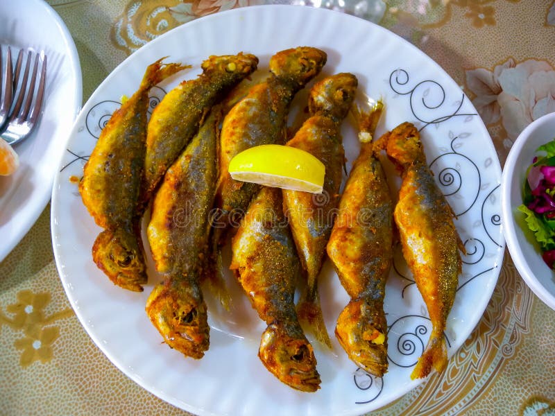 Fried Fish Black Sea Horse Mackerel on a White Plate Stock Image ...