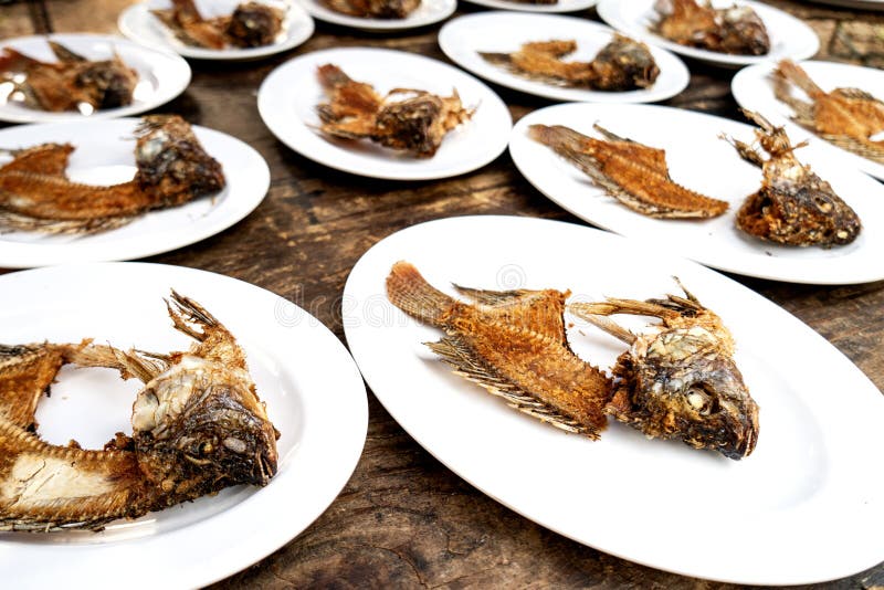 Fish bones stock photo. Image of details, geologic, copyspace - 57004072