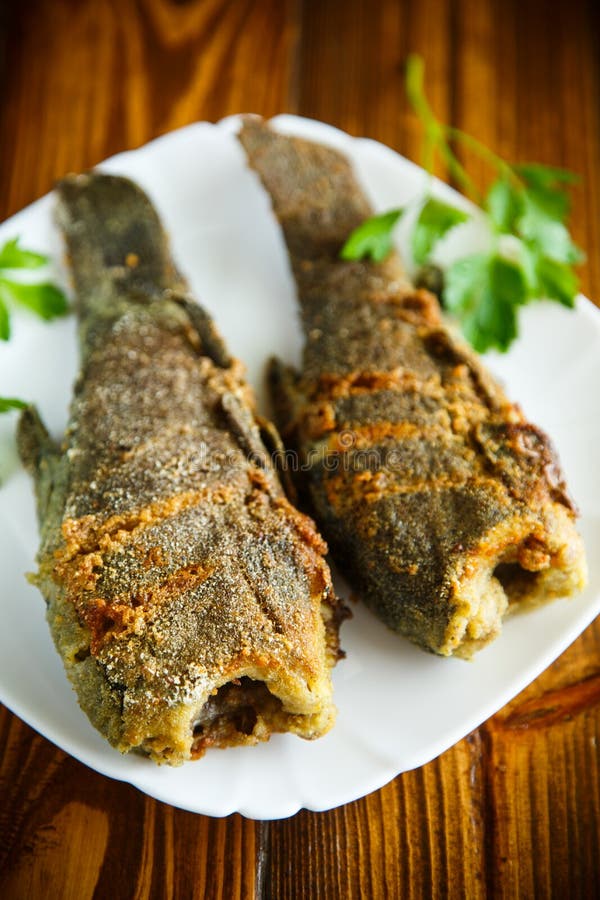 Fried fish in breading stock image. Image of fresh, organic - 99350201