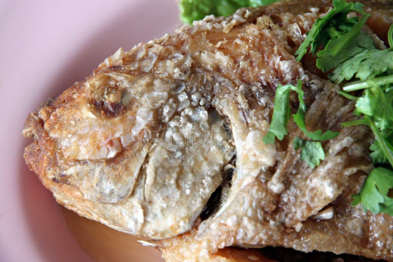 Fried Fish and Cilantro in the Dish. Stock Image - Image of animal ...