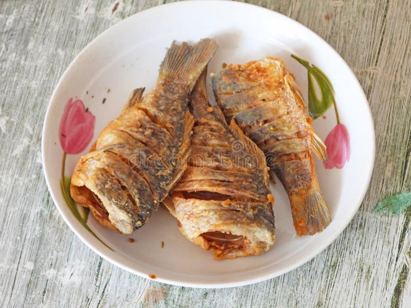 Fried fish stock photo. Image of materials, fish, fried - 352862584