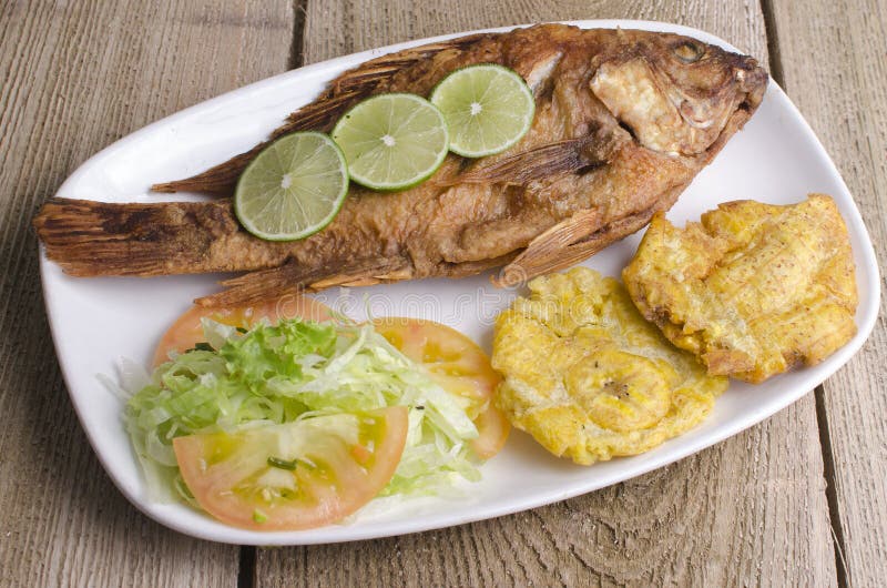 Fried fish stock image. Image of fried, grilled, meat - 176081089