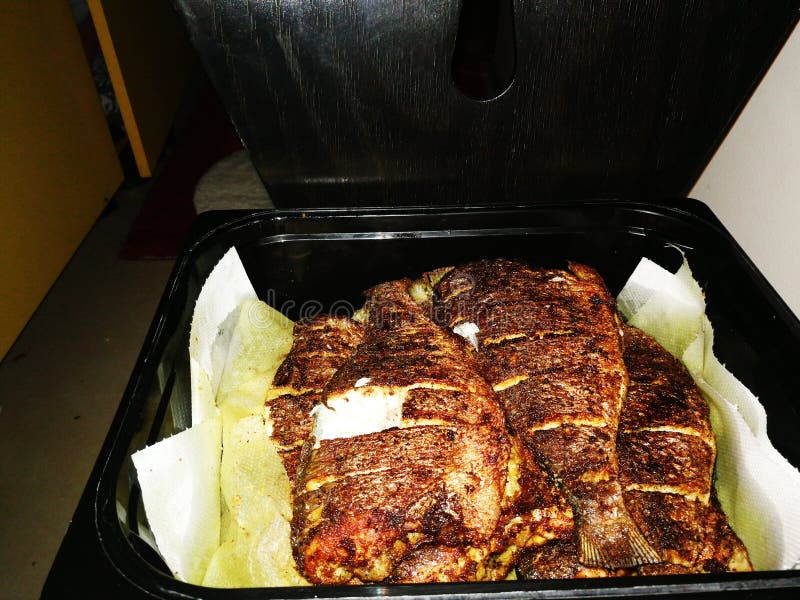 A breathing fish stock image. Image of fried, chef, cooked - 109850135