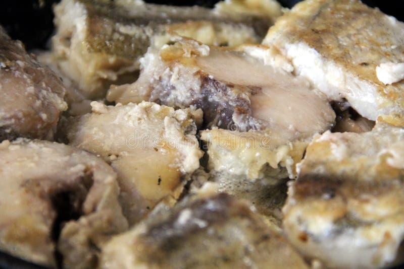 Fried fish cut into pieces stock image. Image of meat - 144514909