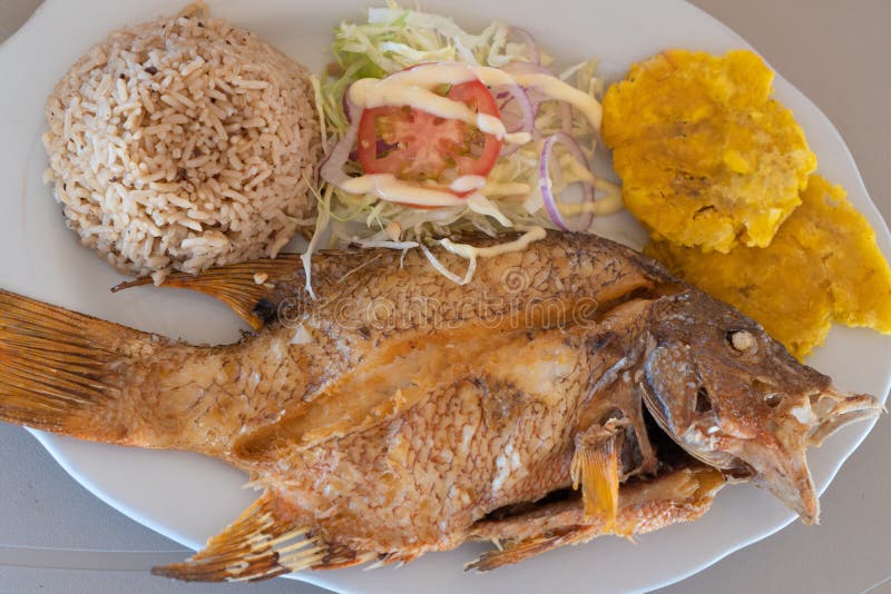 Fried Fish Dish in Colombia Stock Image - Image of american, menu ...