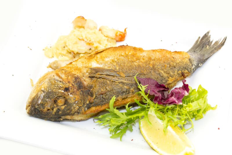 Fried fish dorado stock image. Image of food, seafood - 36138017