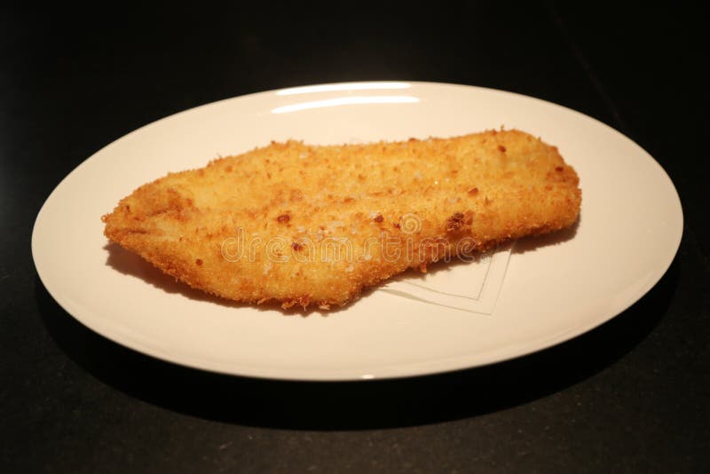 Fried fish fillet stock photo. Image of grill, menu - 169820074