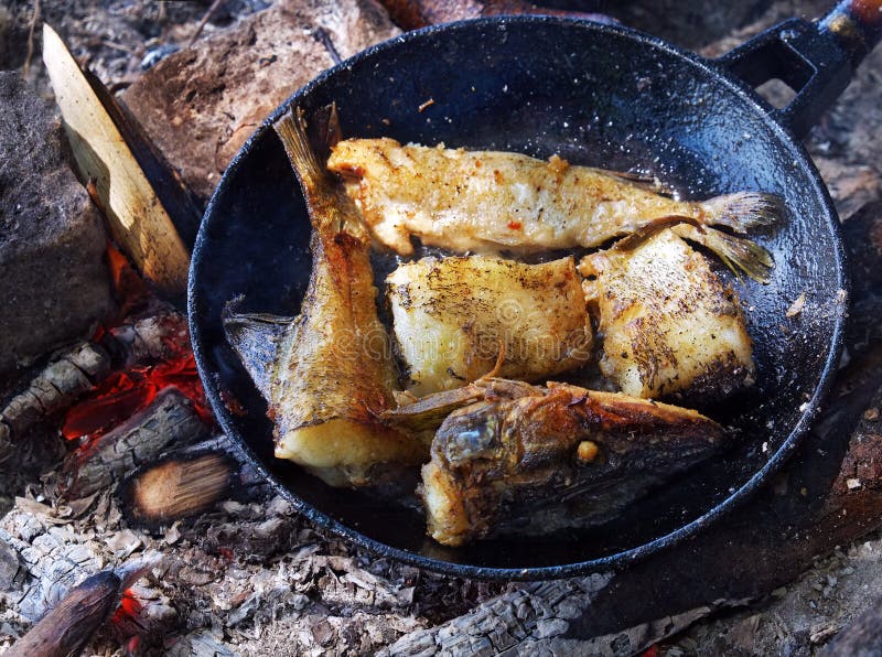 Fried fish on burning fire stock image. Image of fillet - 106825525
