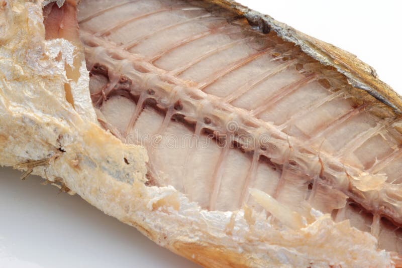 Fishbone texture stock photo. Image of fishes, detail, details - 38672