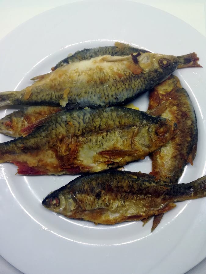 Fried fish stock image. Image of fish, gourmet, roach - 121633689