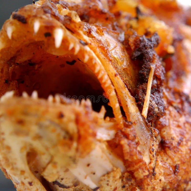 Fried fish stock photo. Image of fish, fried, lensa - 115398546