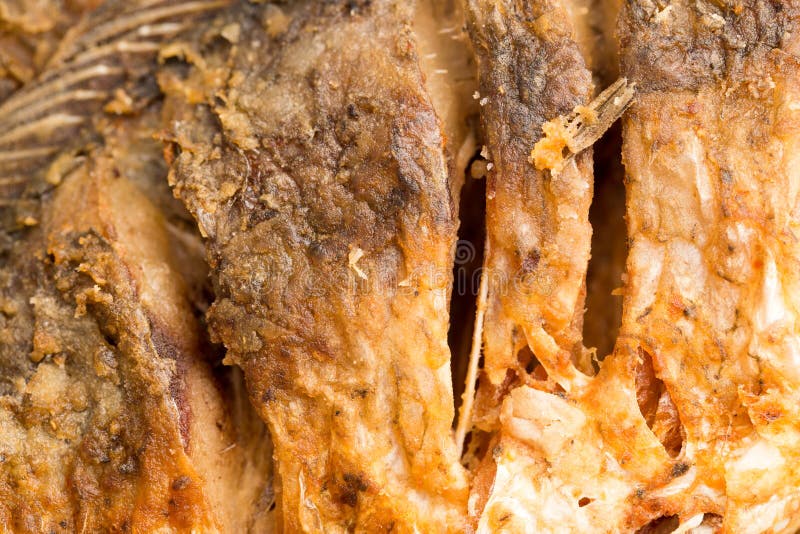 Fried fish stock photo. Image of cuisine, bites, dinner - 104186770